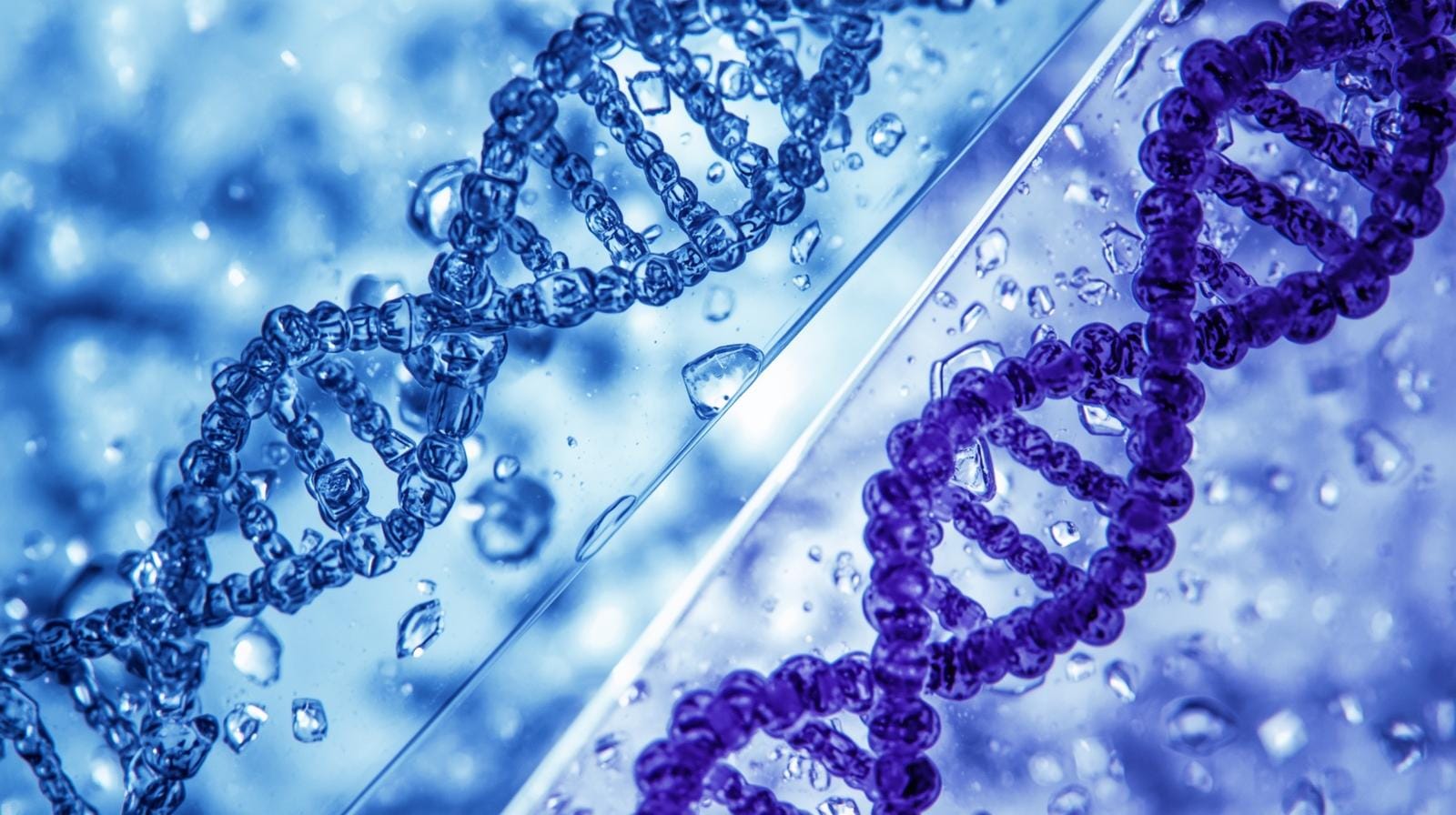 Paternity DNA Test In Chhattisgarh